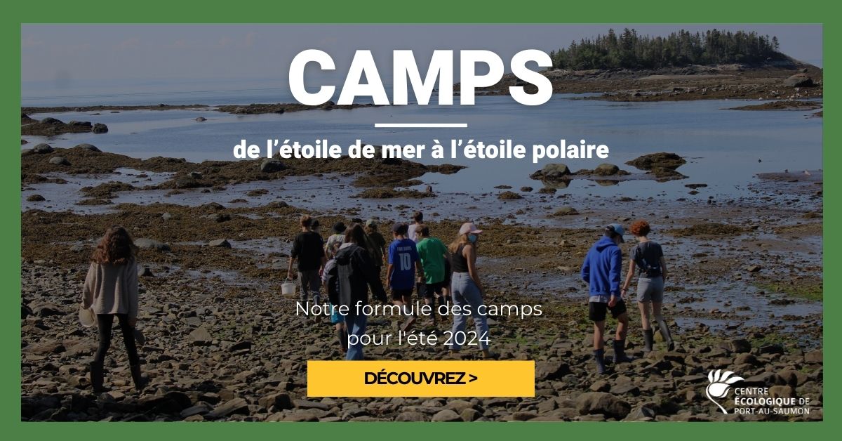 Camp familial